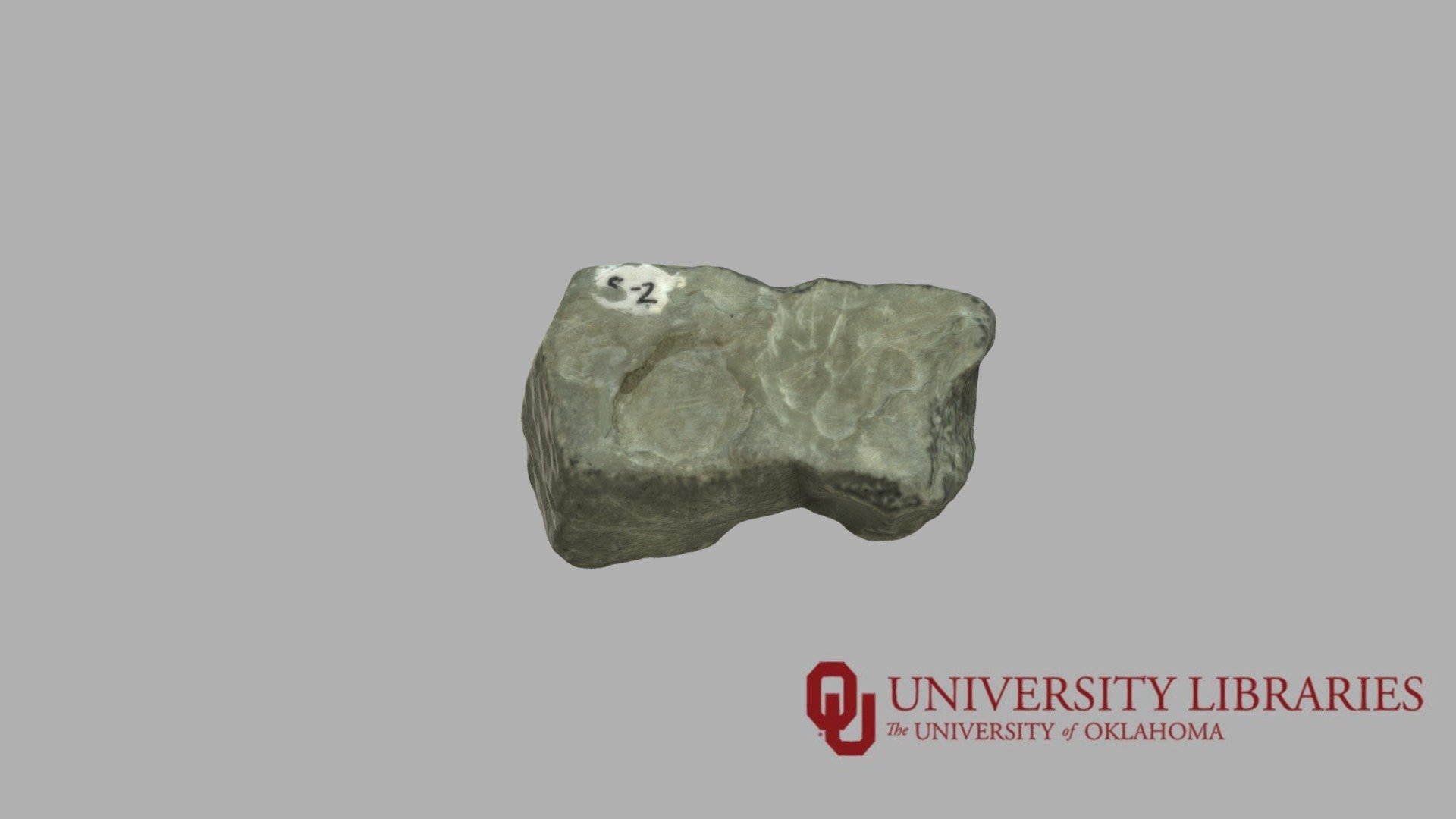 Mudstone - 3D model by OU Libraries (@libedge) [fcfc069] - Sketchfab