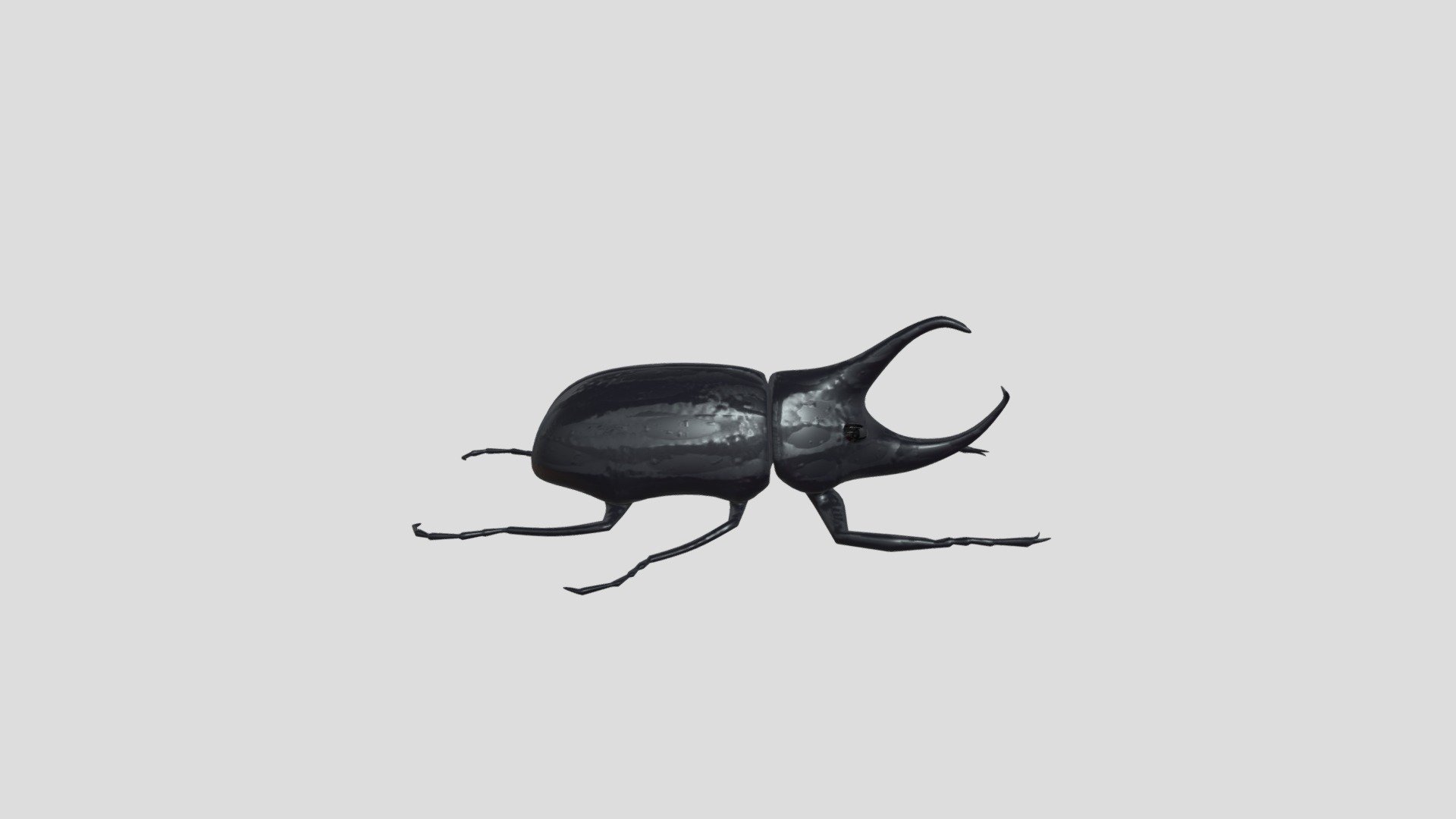 Simple Beetle (Low to High Poly) - Download Free 3D model by João ...