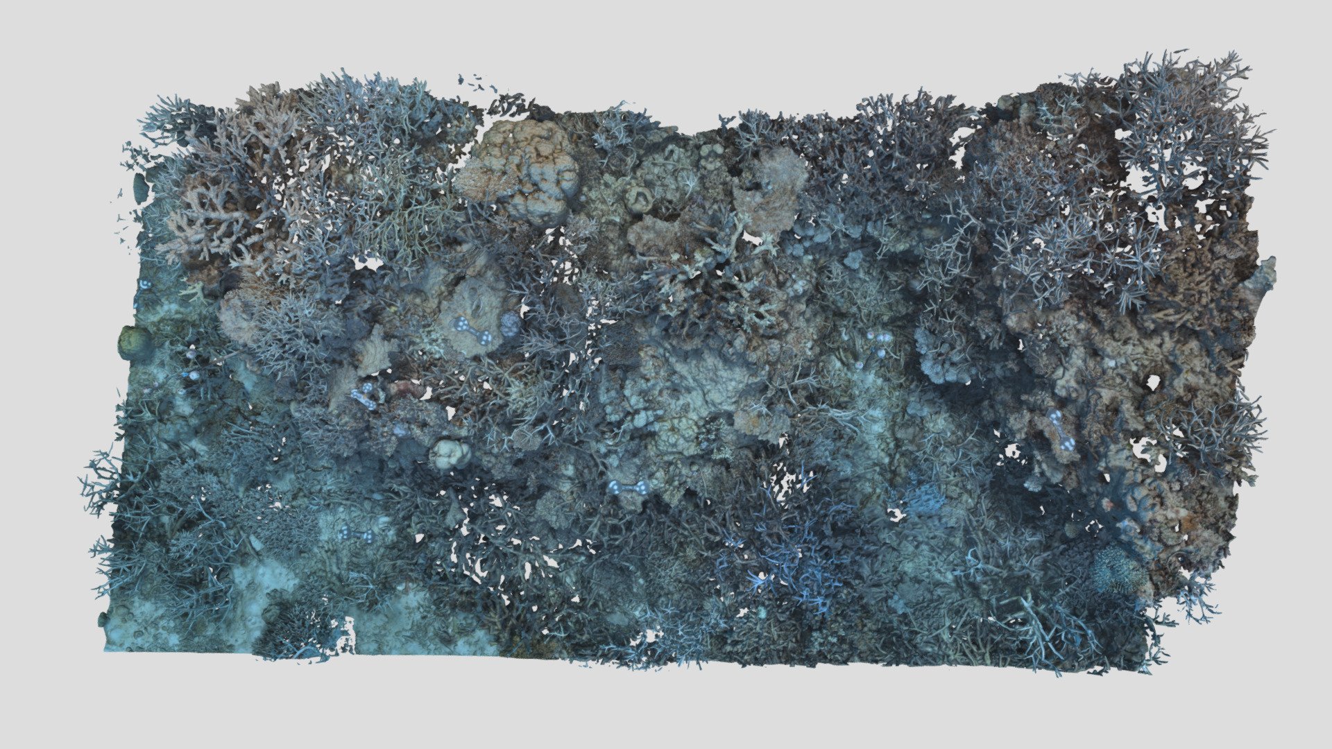 Davies_LA1S_P3_202201 - 3D model by EcoRRAP (@AIMSEcoRRAP) [fd00a58 ...