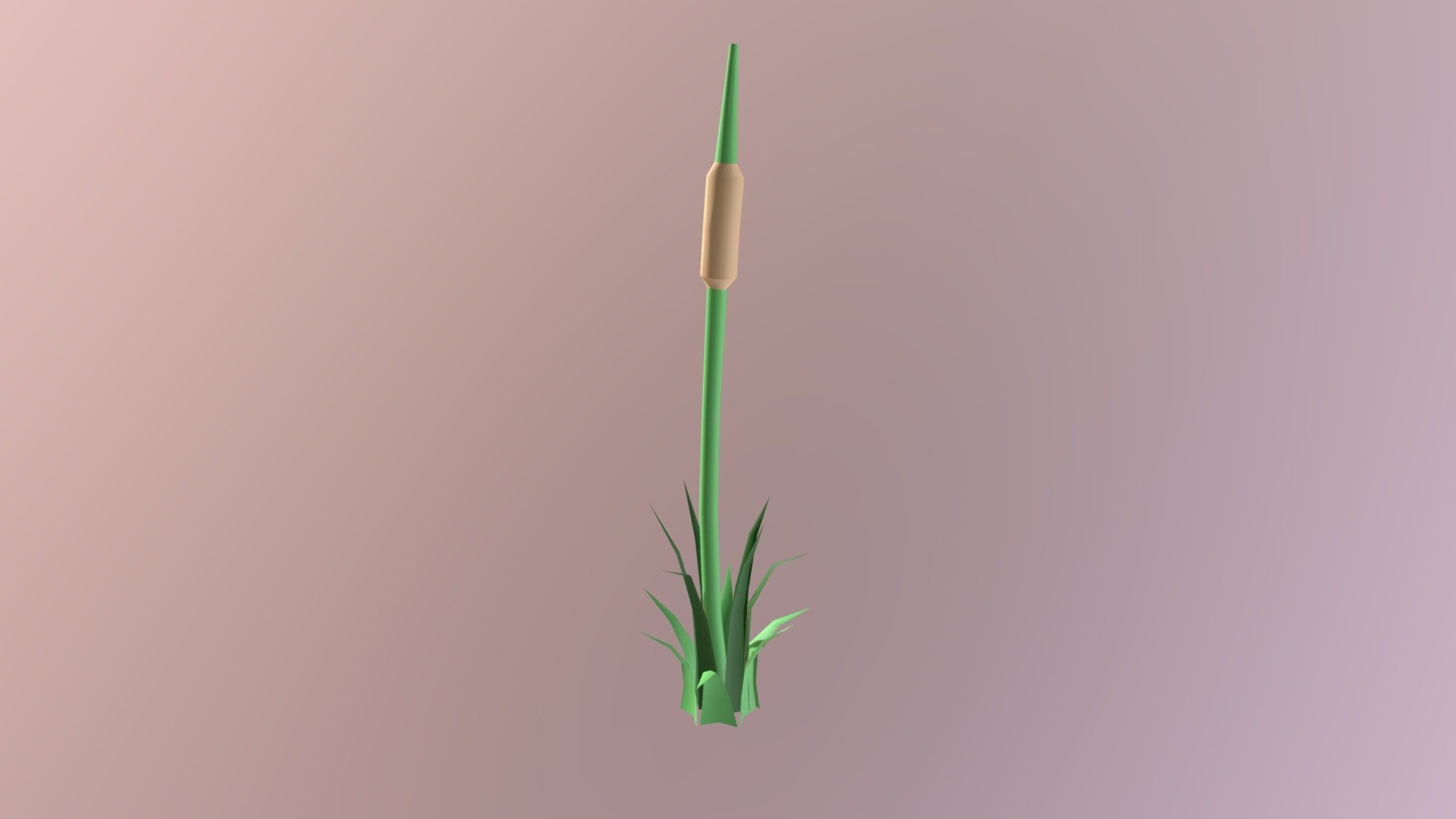 Water Reed - 3D model by Aston Cook (@Aston_Cook) [fd04960] - Sketchfab