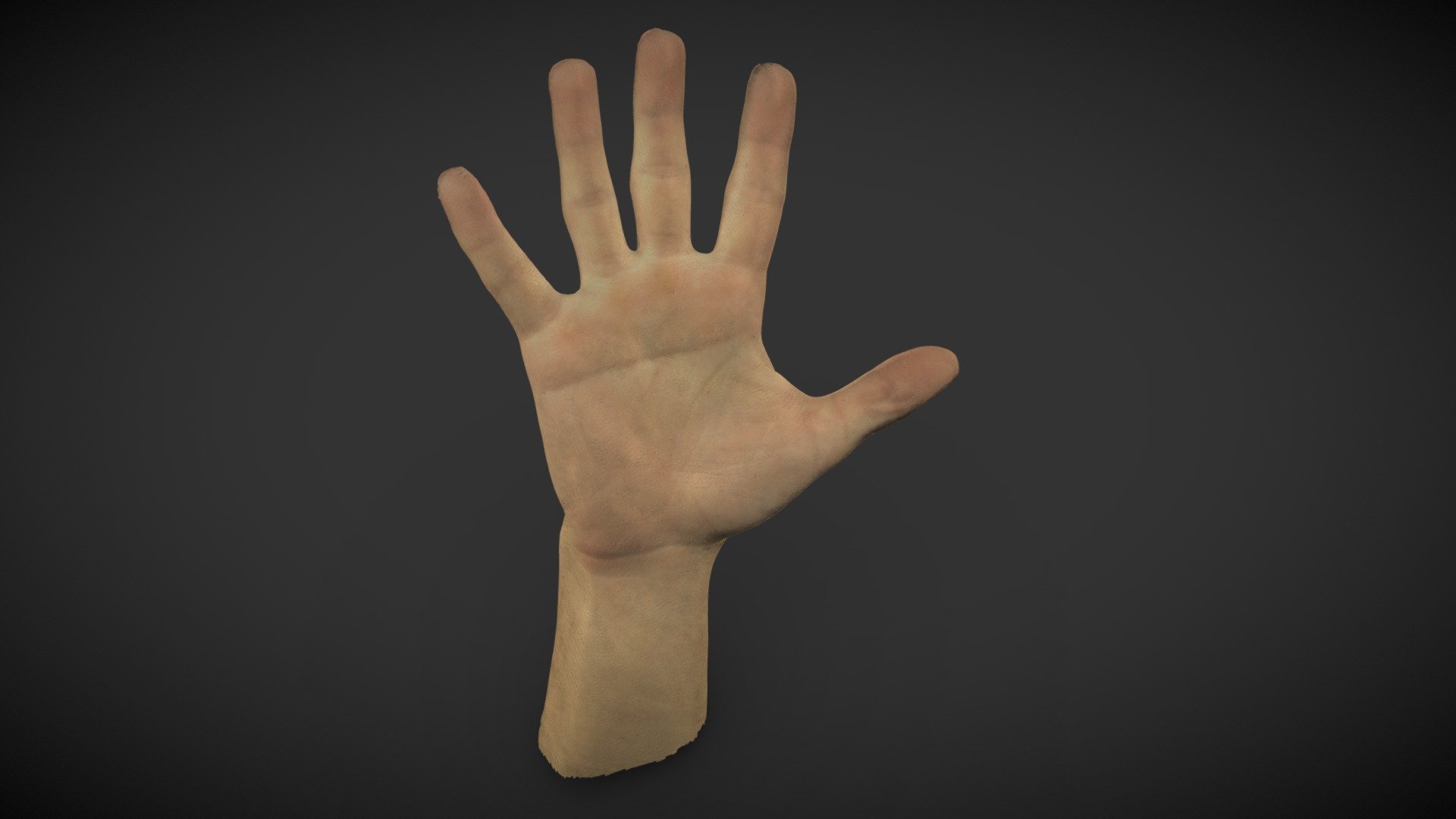 Human hand - 3D model by joancalad [fd0a70c] - Sketchfab