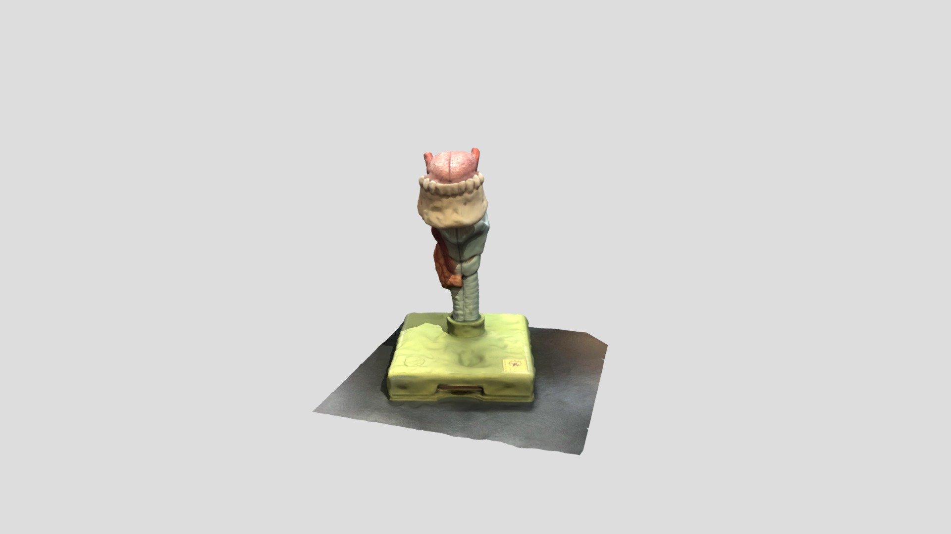 Anatomy Model (larynx) - 3D model by kmzimmerman13 [fd11c55] - Sketchfab