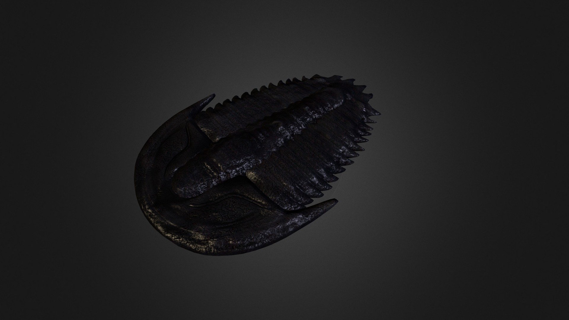 Trilobite - 3D model by DANNYB0B [fd14ae8] - Sketchfab