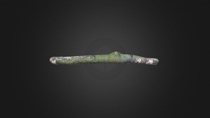 Branch 3D models - Sketchfab