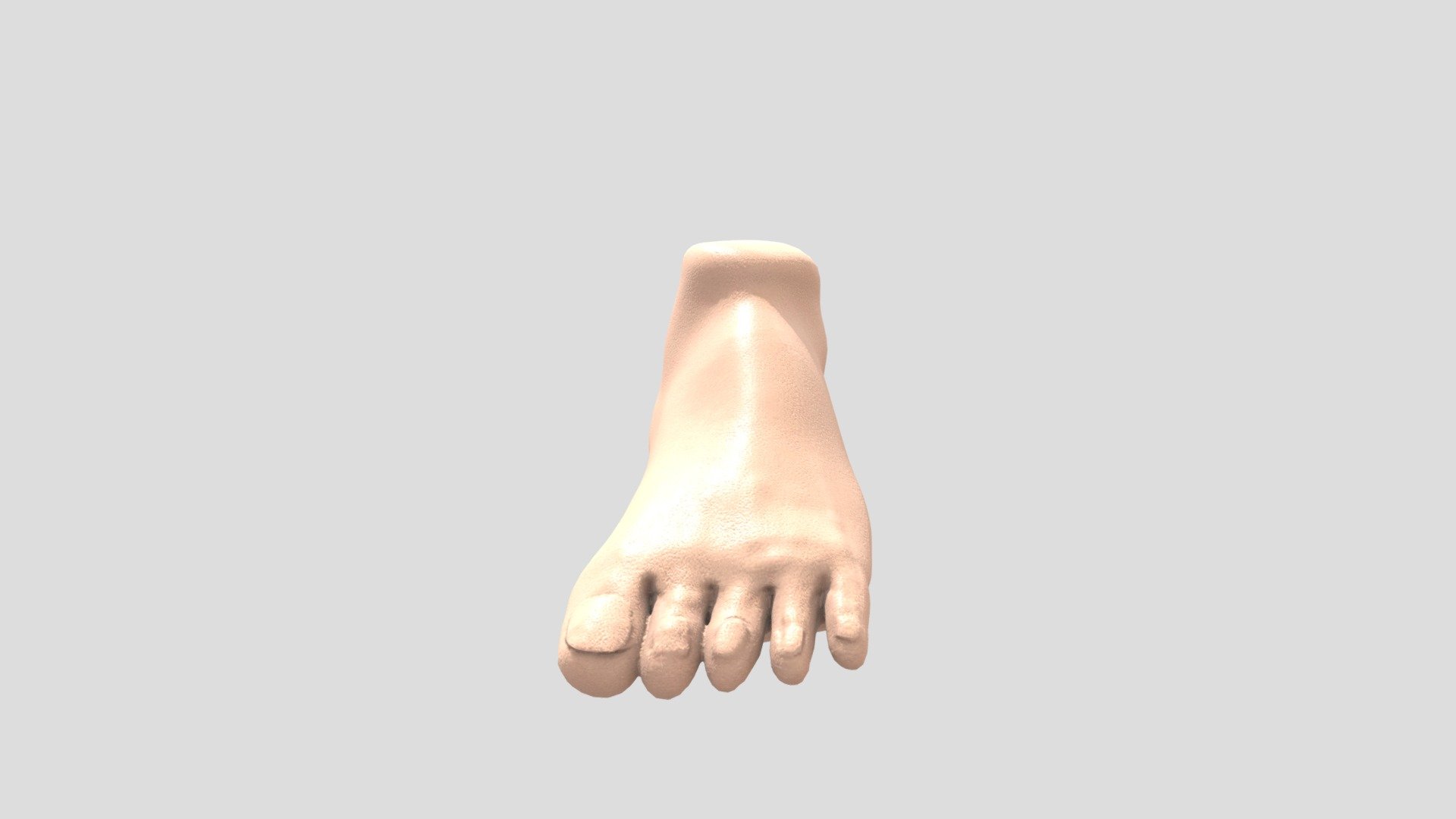 Foot - 3D model by Nicholas2000 [fd1a93a] - Sketchfab