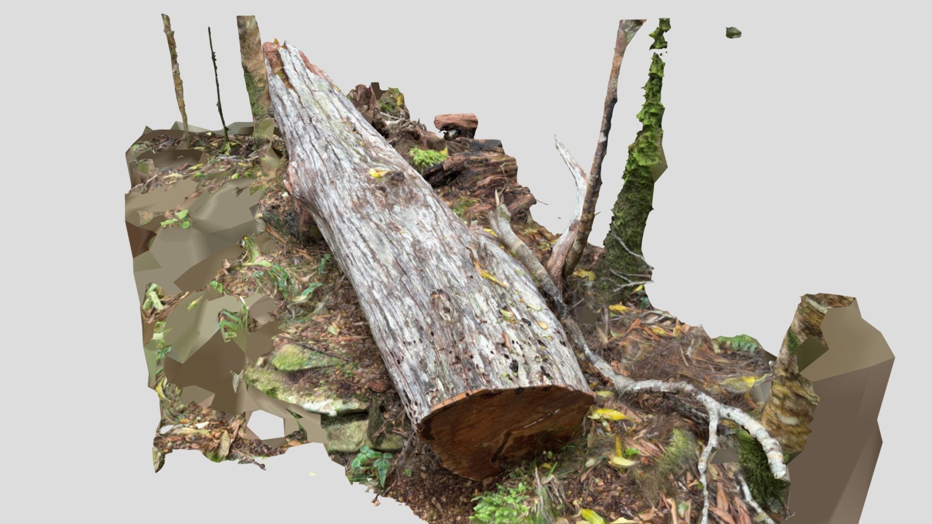 Forest - Fallen Tree Trunk 2 (Detailed) - 3D model by guigus60 [fd21198 ...