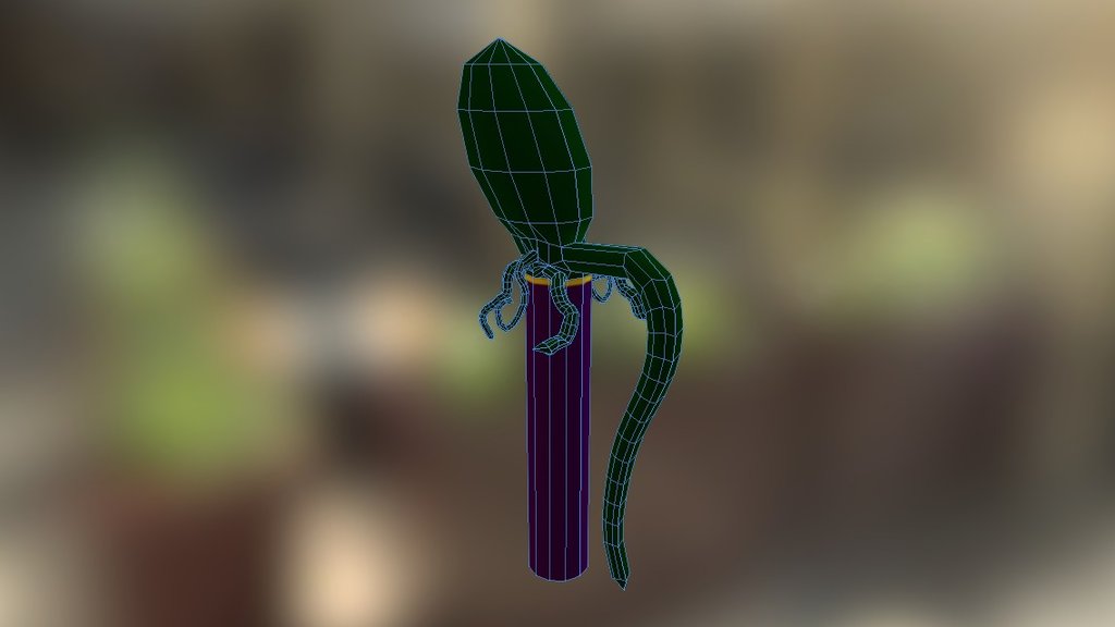 Pen Lid Ben Wood - 3D model by benwood2250 [fd22223] - Sketchfab