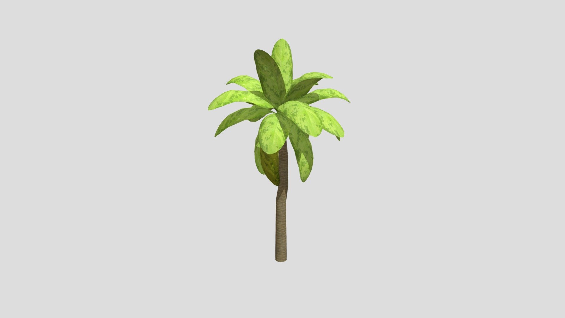 The Palm Tree Model- Grace Ray - Download Free 3D model by grace_ray ...