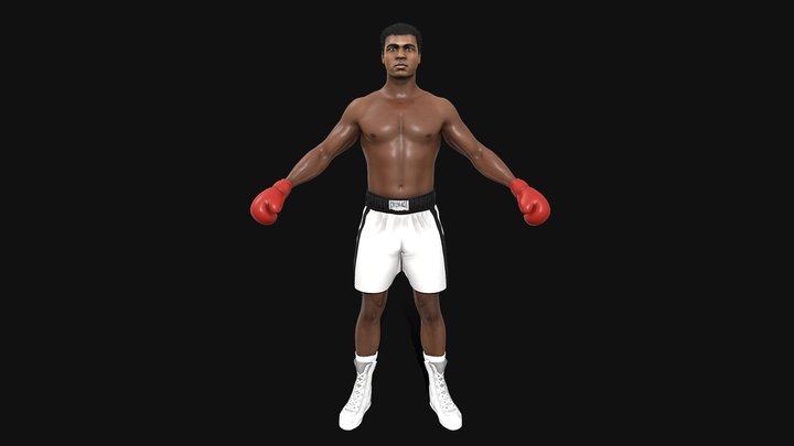 Boxer 3D models - Sketchfab