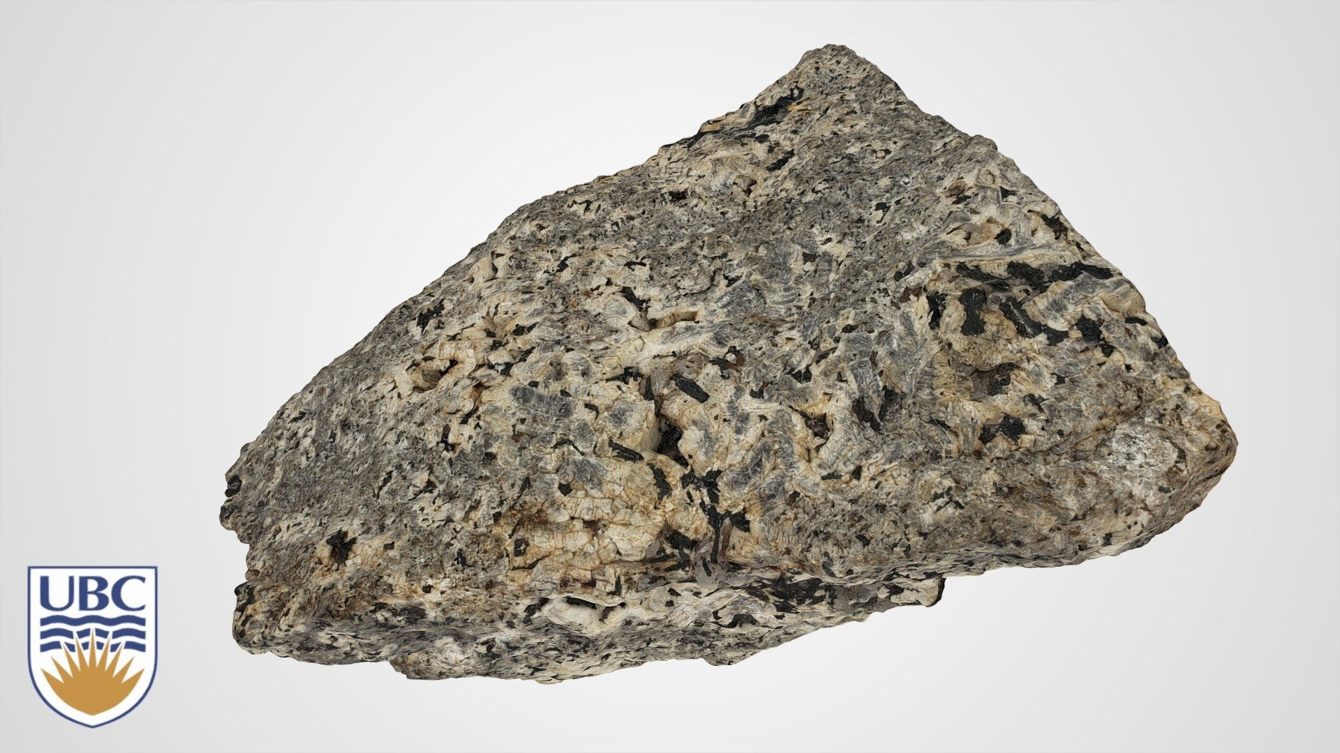 S3 (syenite) - 3D model by Nichole Moerhuis (UBC Geology) (@Moerhuis ...