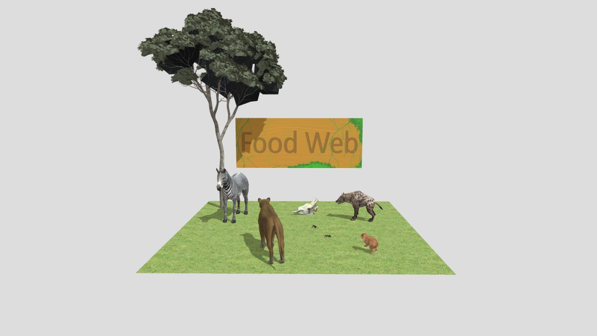 food web - Download Free 3D model by isparklekidz [fd32a91] - Sketchfab