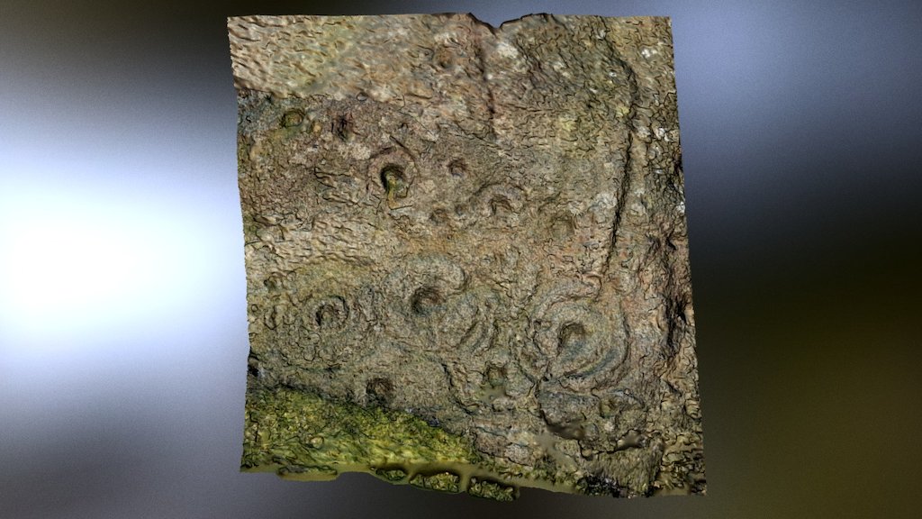 Badger Stone Detail Cups and Rings - 3D model by jamesmcc [fd33ce5 ...