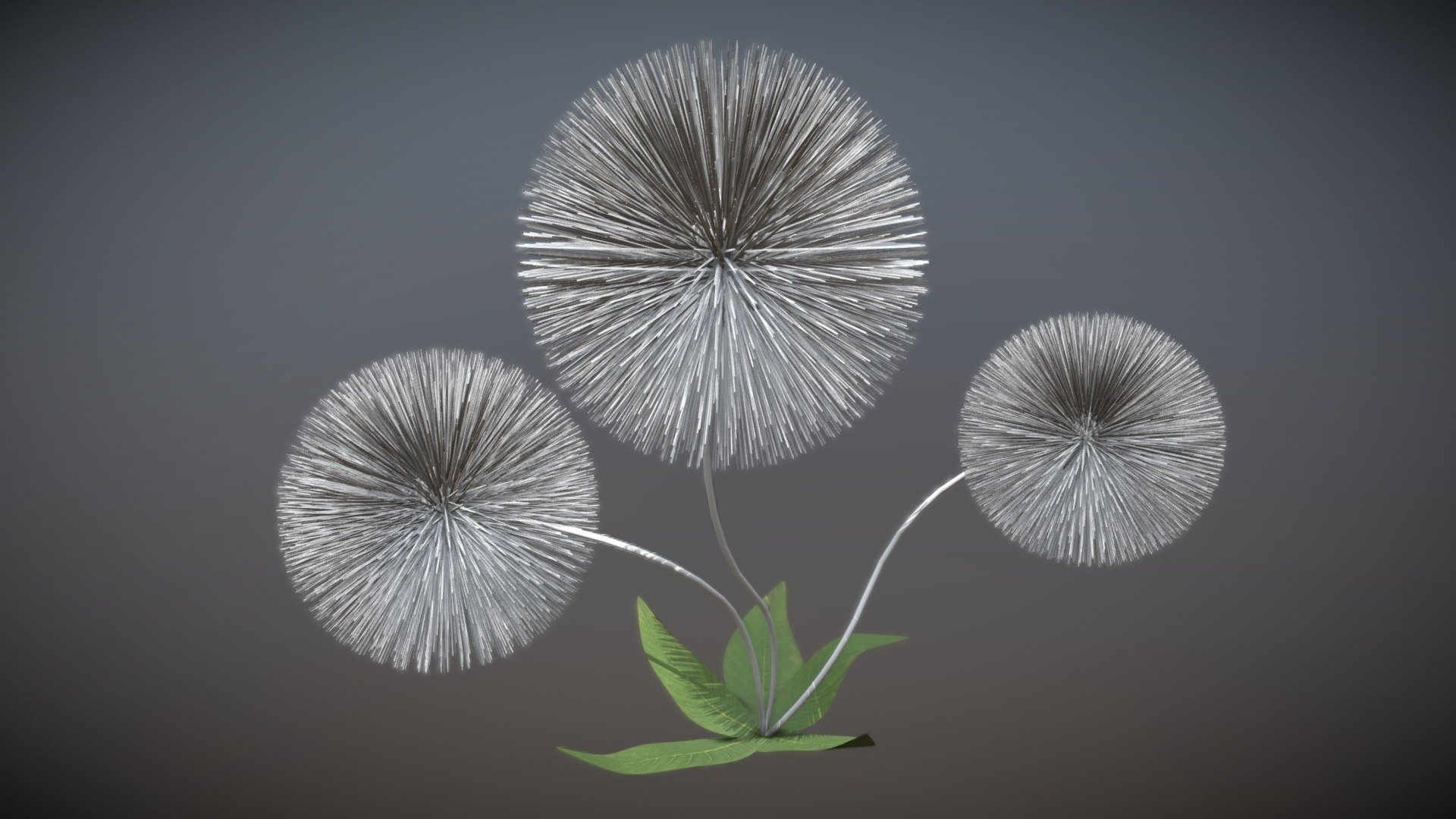 Dandelion - 3D model by ThomasAHarvey [fd353a1] - Sketchfab