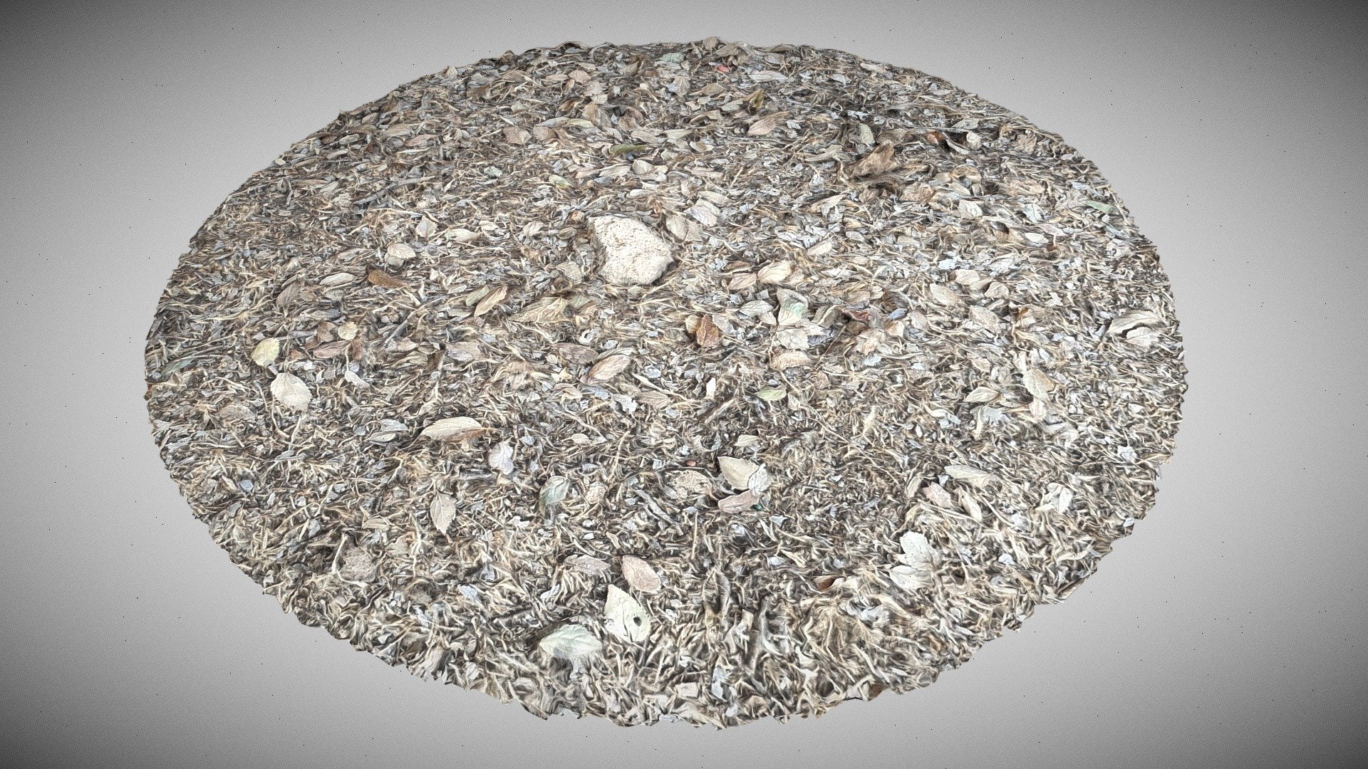 Ground 04 - Download Free 3D model by BNArtCo (@baharnajari) [fd3a18a ...