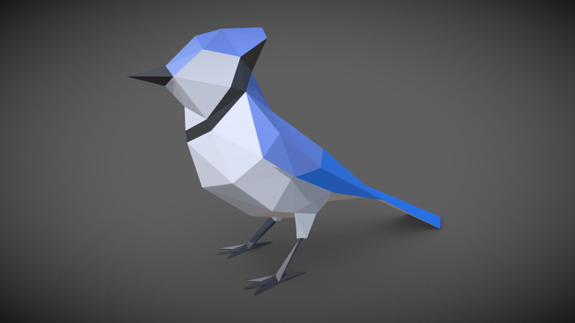 Bird - Blue Jay - Buy Royalty Free 3D model by Łukasz Paraszka ...