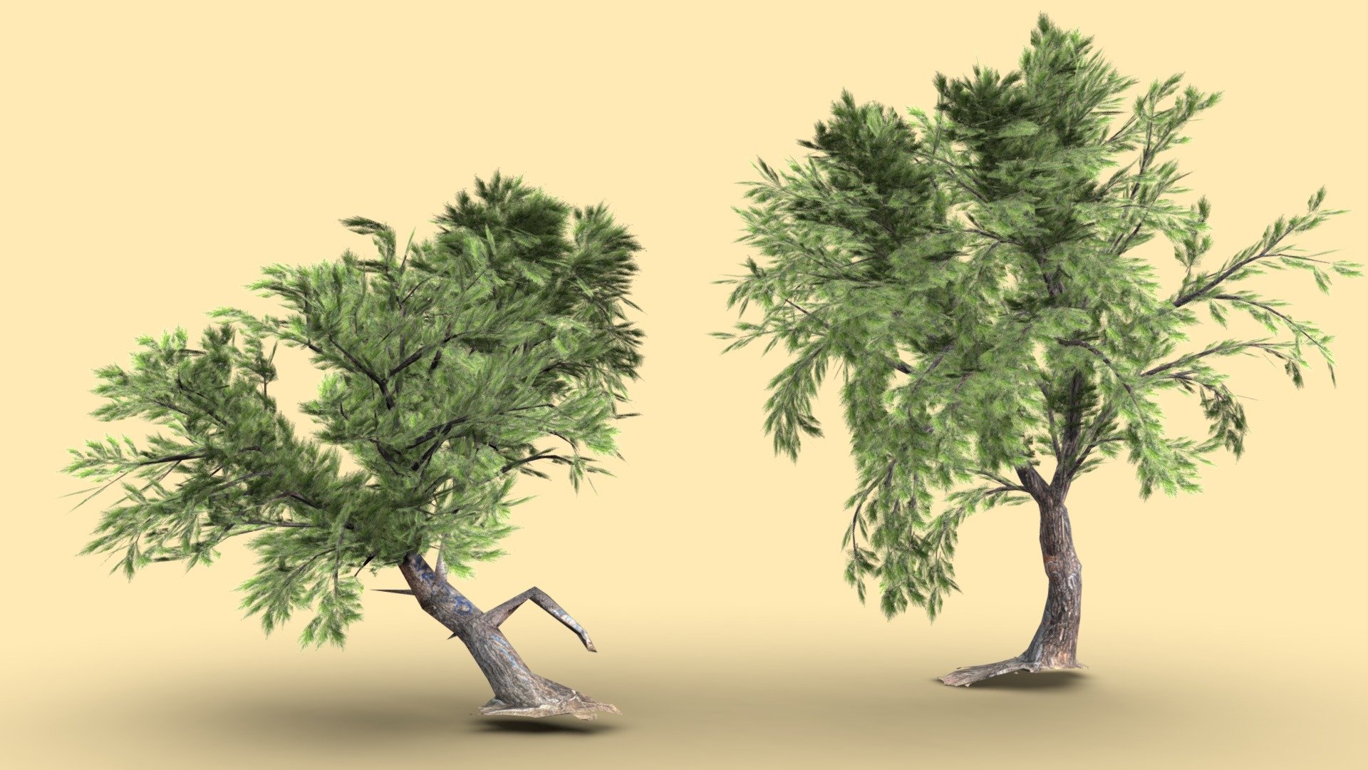 Lowpoly Scan Trees Pack Part 2: Pine w/ Graffiti - Download Free 3D ...