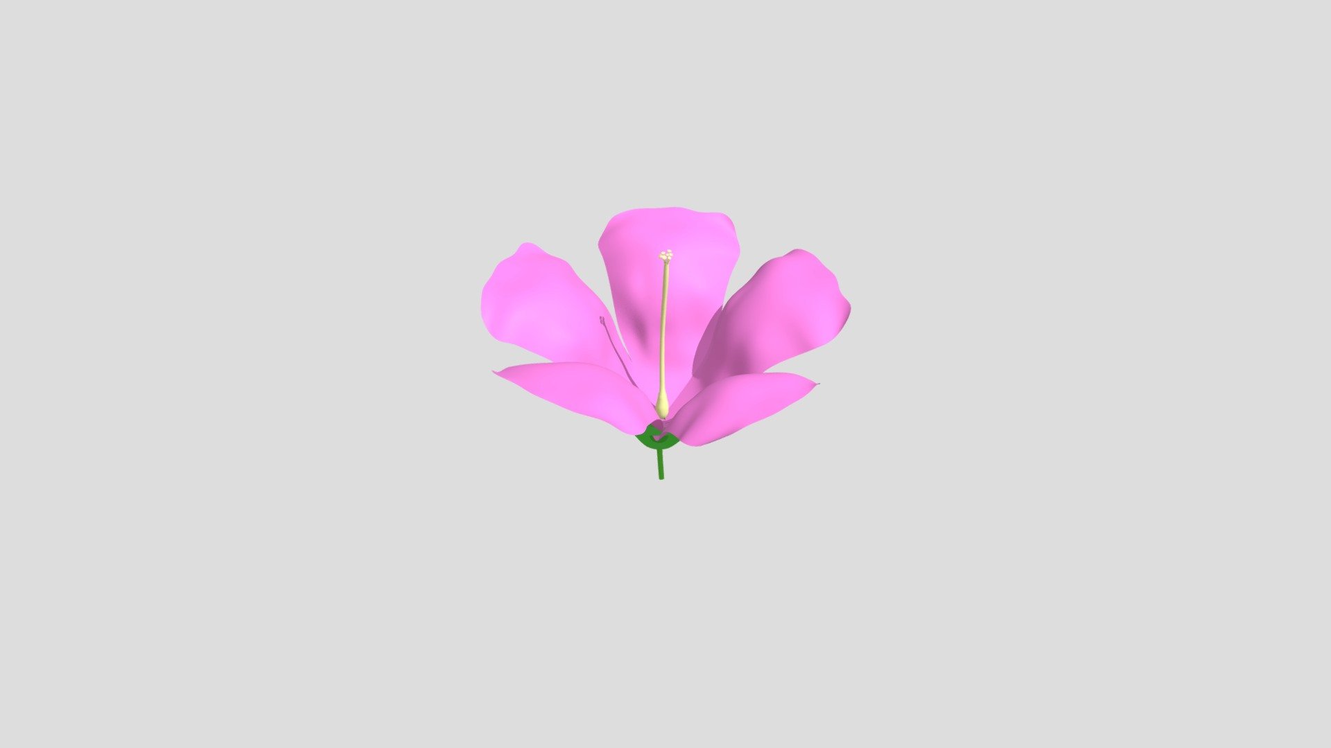 flowers 2 - Download Free 3D model by Collin115 [fd443df] - Sketchfab