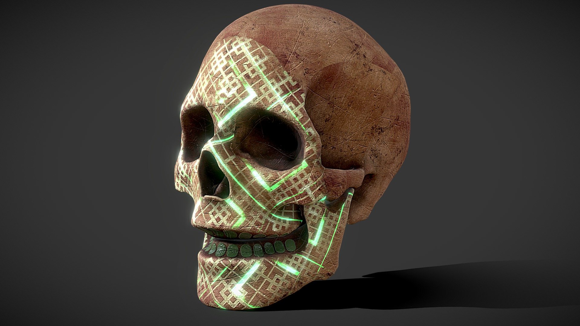 Skeleton Head - 3D model by William Marshall (@WilliamMarshall ...