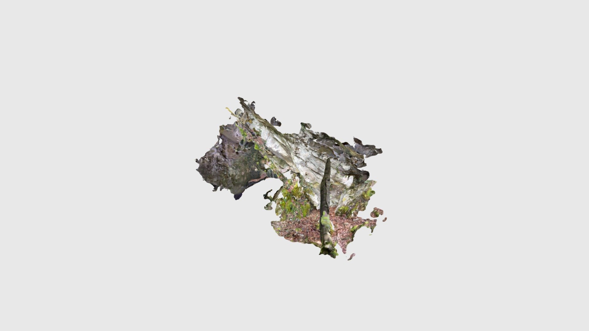 Kobazargueneko kobea - Download Free 3D model by ifsukia [fd5021b ...