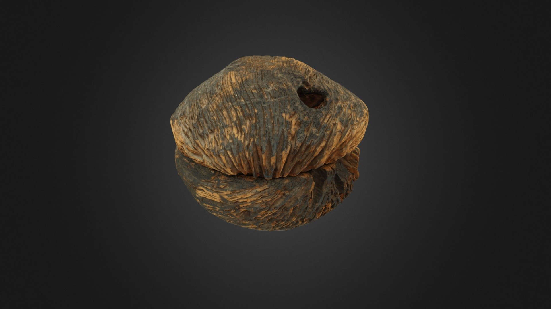 Bog oak quern - 3D model by Open Virtual Worlds (@openvirtualworlds ...