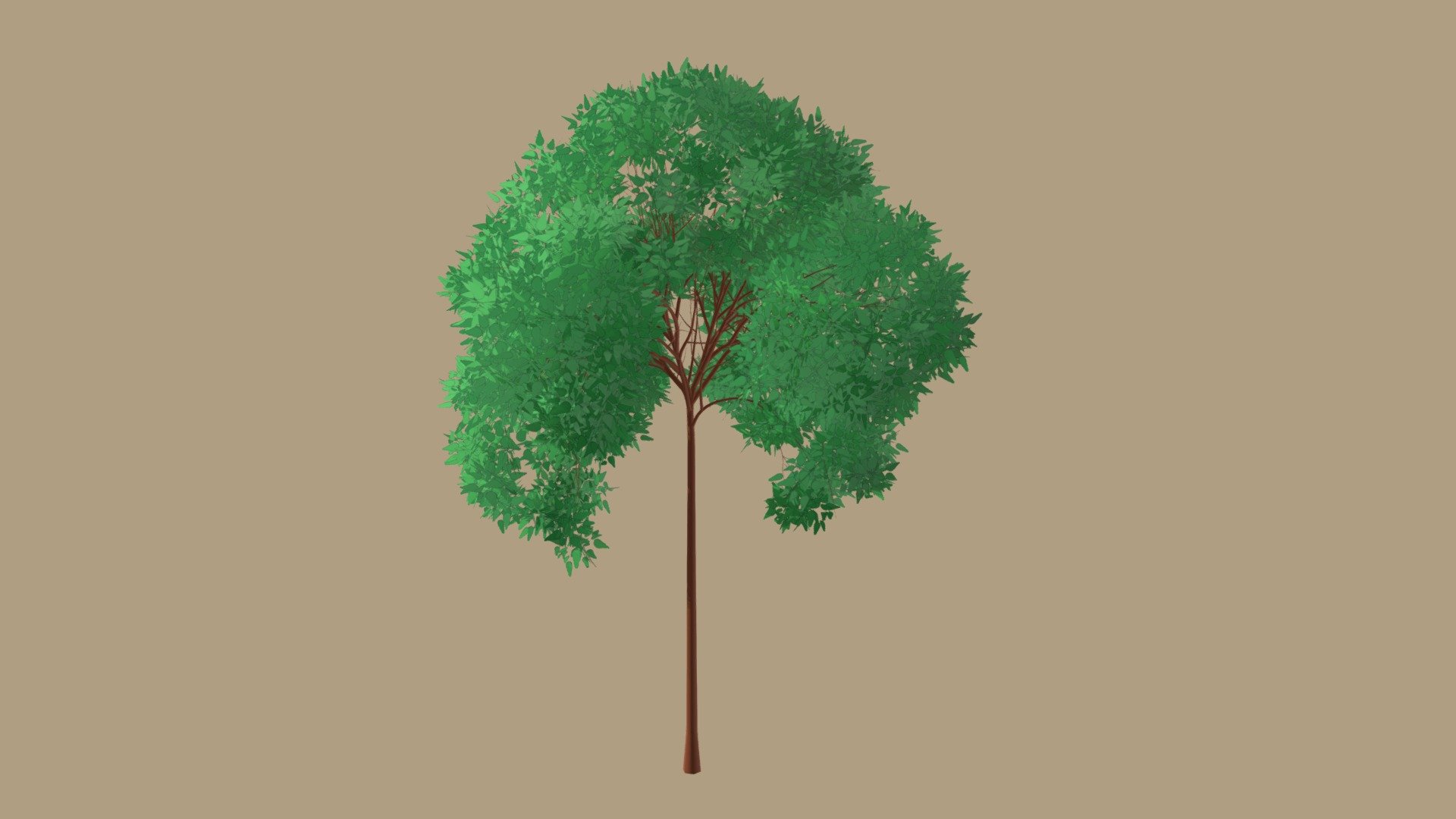 Stylized Tree - 3D model by Ozkan (@Oscarto) [fd56ab3] - Sketchfab