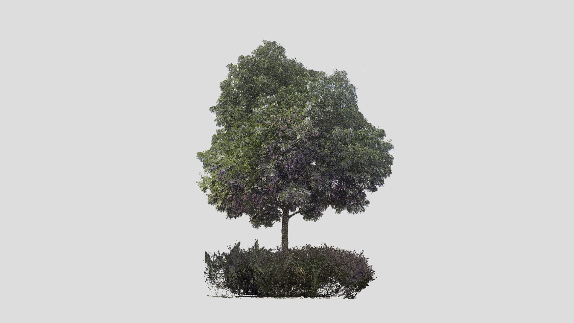 Tree Point Cloud - Buy Royalty Free 3D model by magnum_opus (@tree ...
