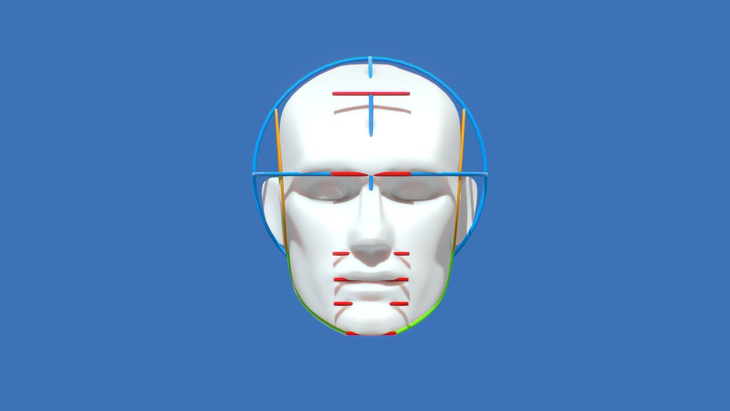 Human Head Guide Lines - Inspired by Loomis - A 3D model collection by ...