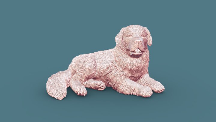 Newfoundland 3D models - Sketchfab