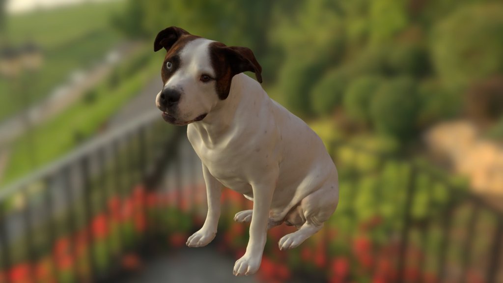 Dog-99 - 3D model by Evan 3D Scanning studio (@Evan-3DScanningStudio ...