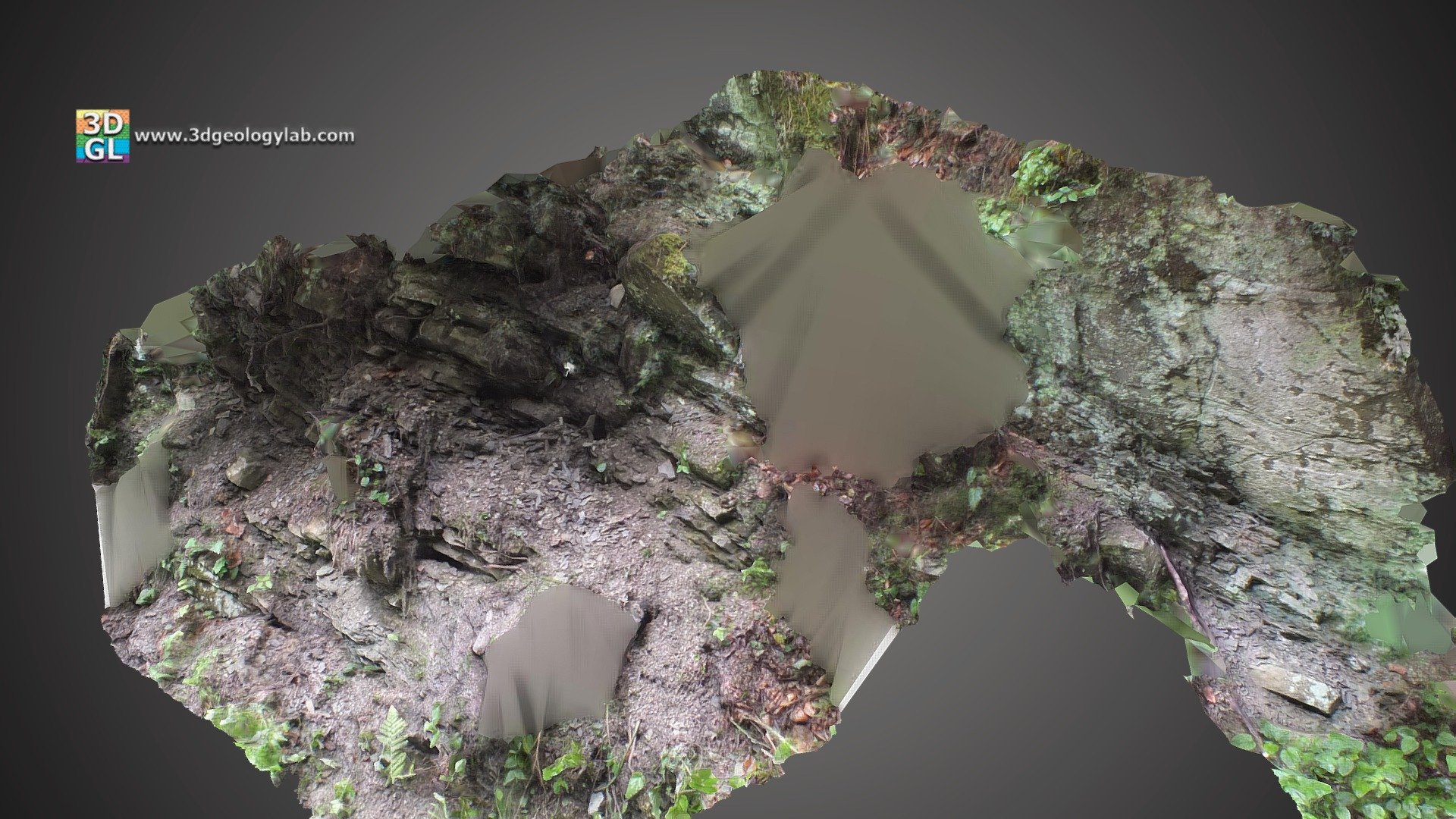 Outcrop (Pr2022_14) - 3D model by 3D Geology Laboratory (@3DGeologyLab ...
