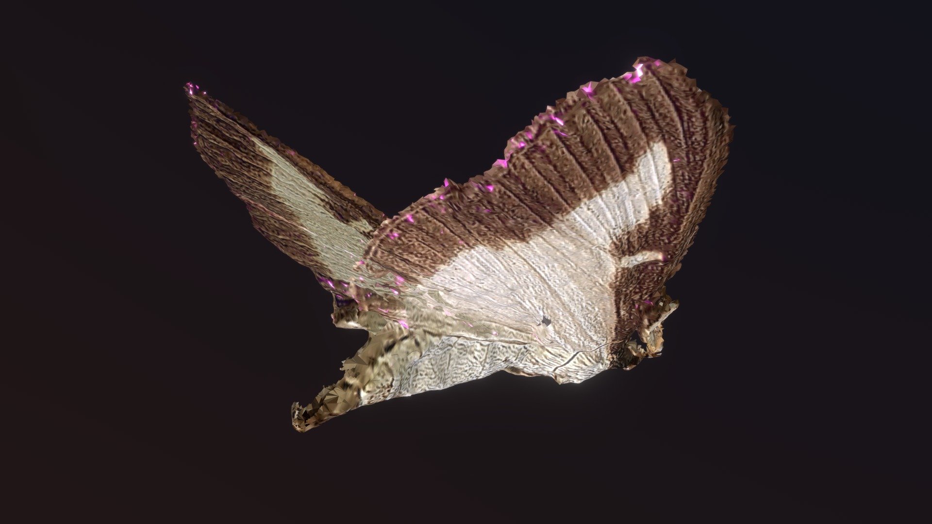 Moth Updated - 3D model by manucpr [fd7cdfc] - Sketchfab