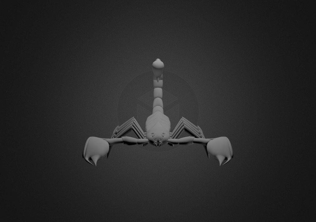 Scorpion - 3D model by snappyfox [fd81494] - Sketchfab