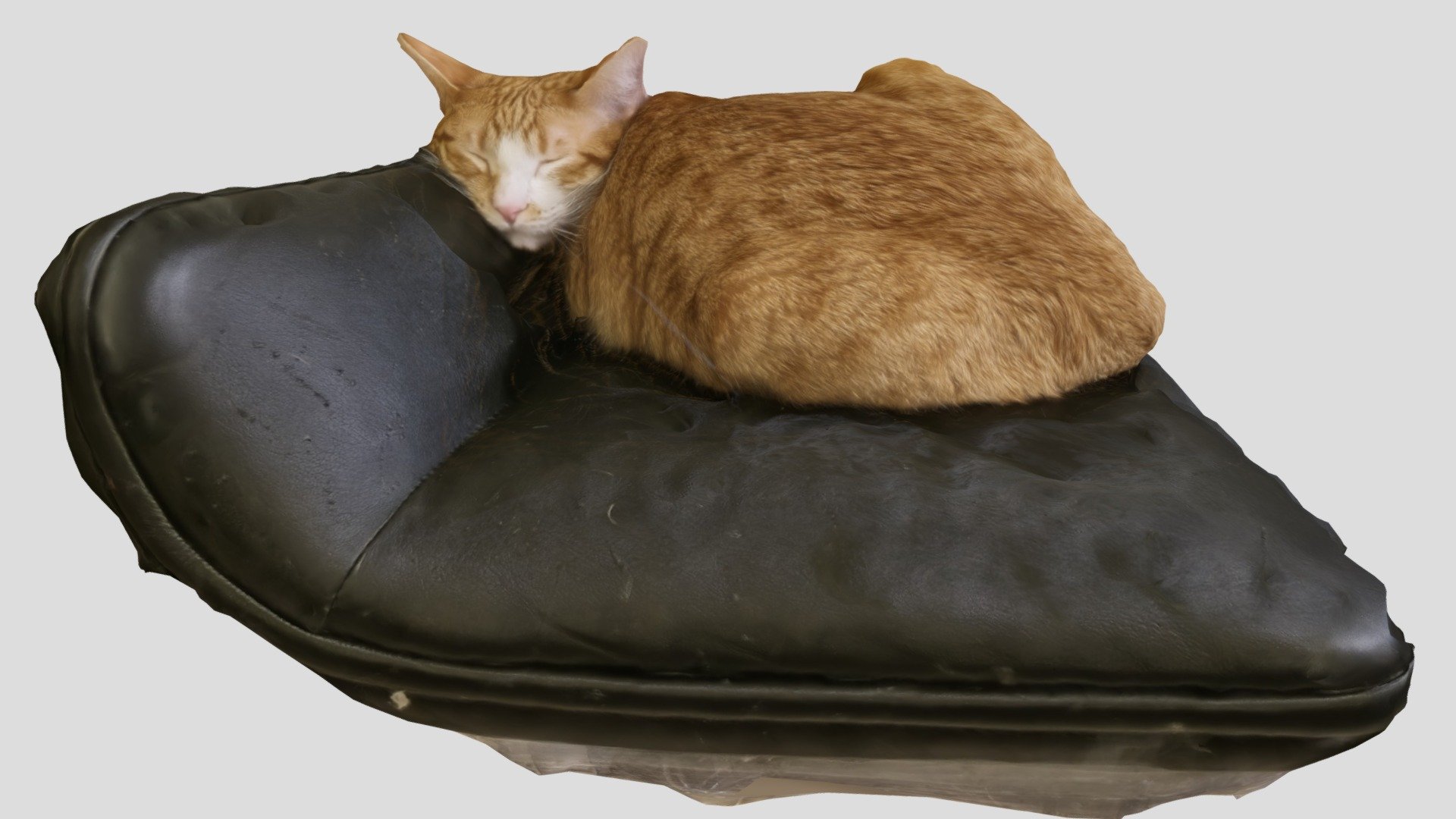 Cat - Download Free 3D model by Fyrokid [fd81788] - Sketchfab
