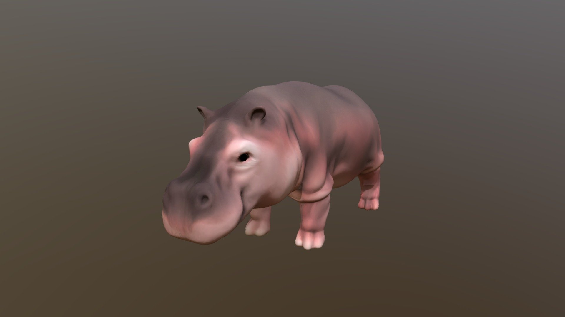 Hippo Rebuilt Updated - Download Free 3D model by kenchoo [fd899b6 ...