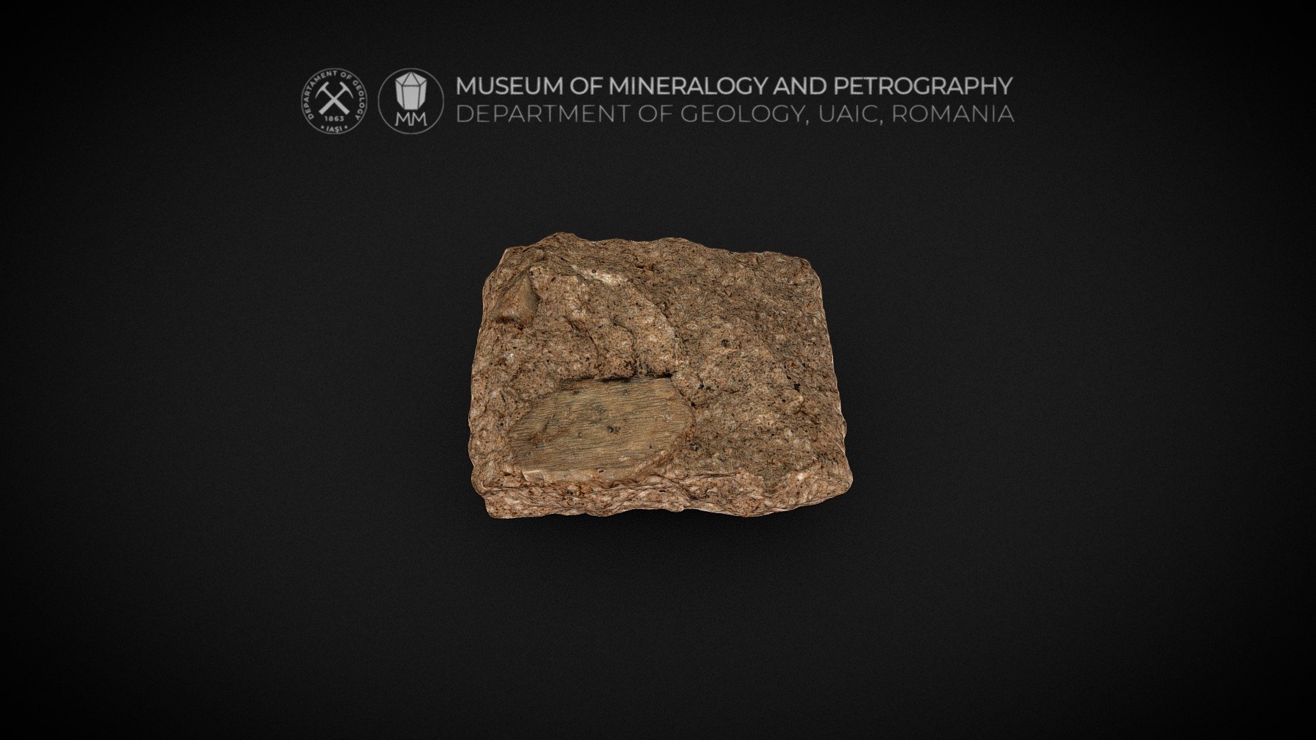 Tabular Sanidine crystal embedded in Trachyte - 3D model by Museum of ...