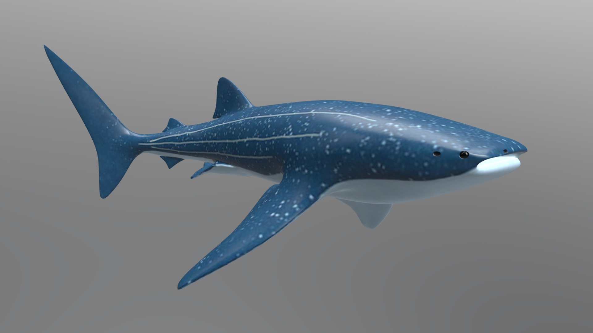Whale Shark - 3D model by T.J. Nicolas (@T.J._Nicolas) [fd8d545 ...