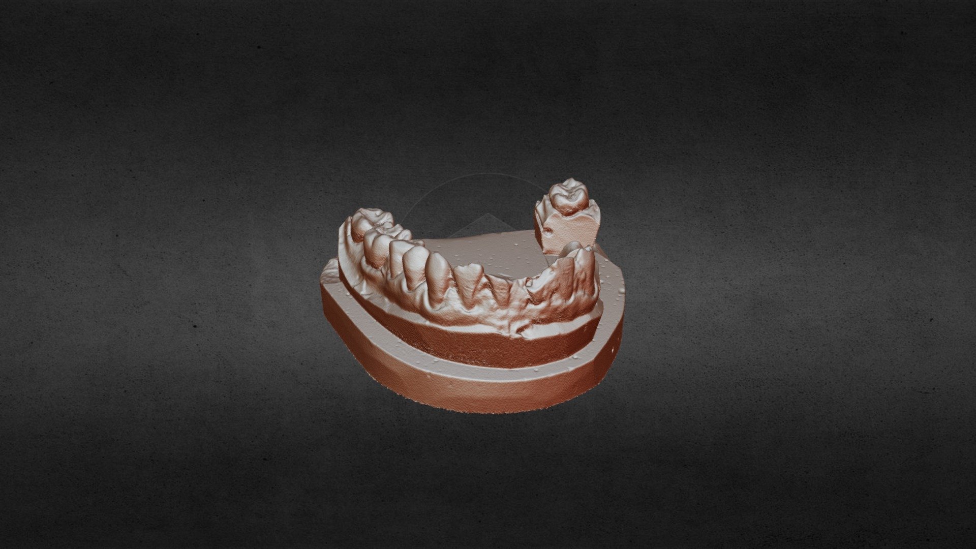Teeth Model - Download Free 3D model by thunk3d.scanner [fd91eb5 ...