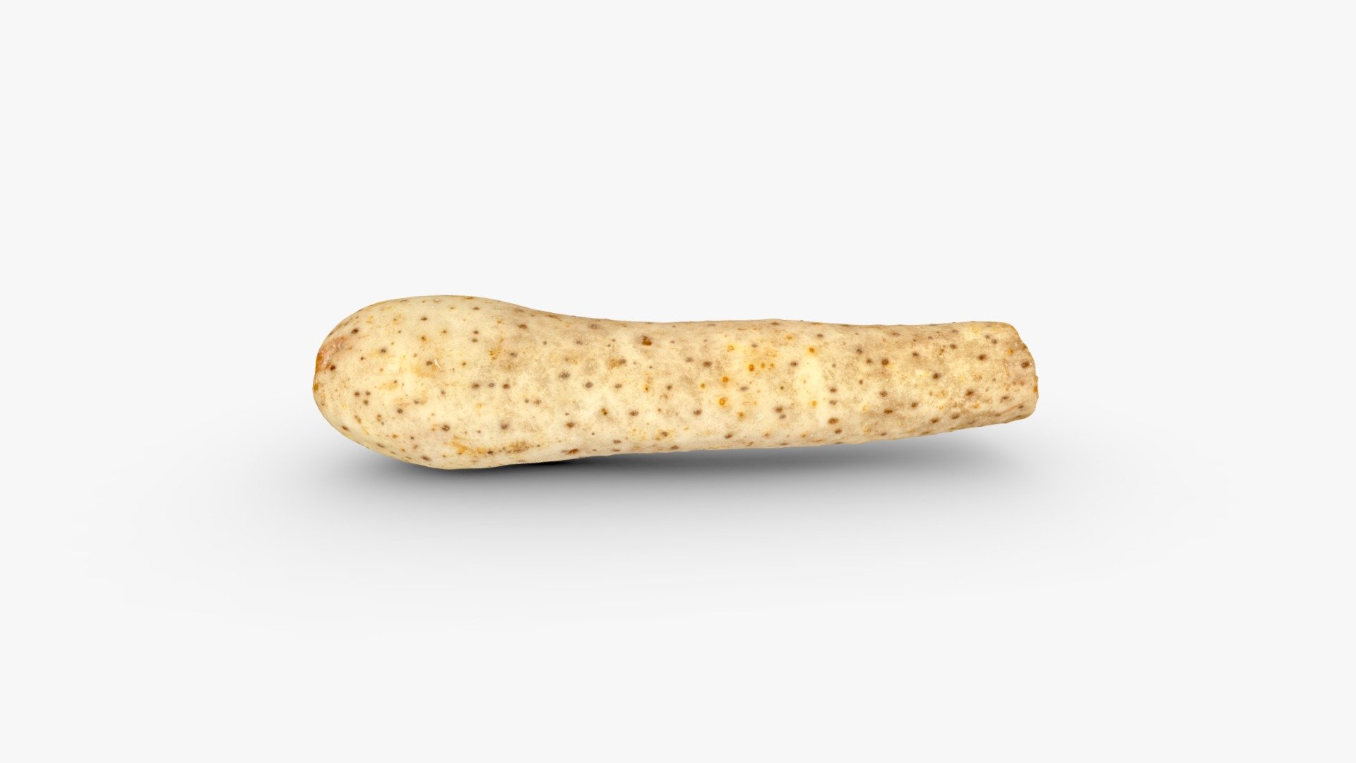 Japanese Yam 長いも - 3D model by Akiko_NAKAMURA (@Akiko_NAKAMUR) [fd9558e ...