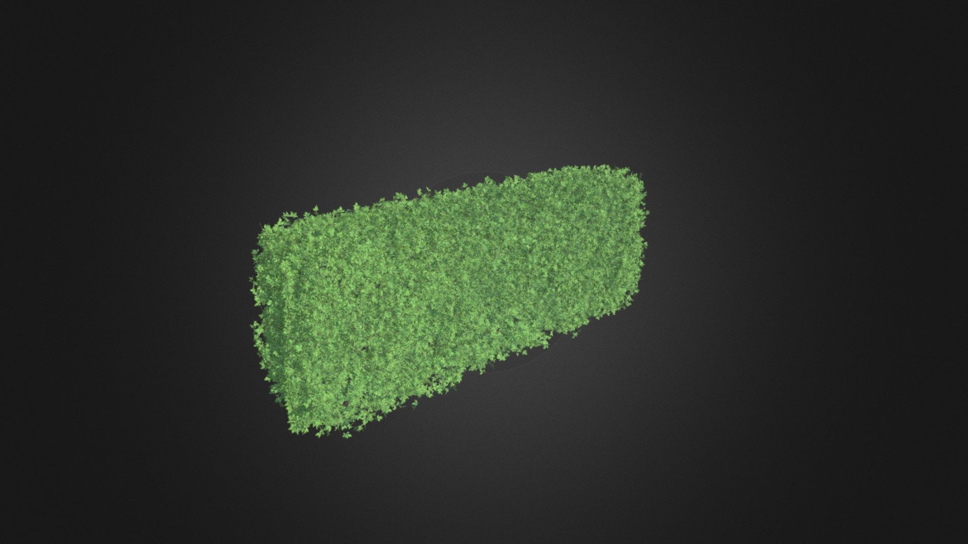 Straight Hedge - Buy Royalty Free 3D model by cgaxis [fd9a8e4 ...