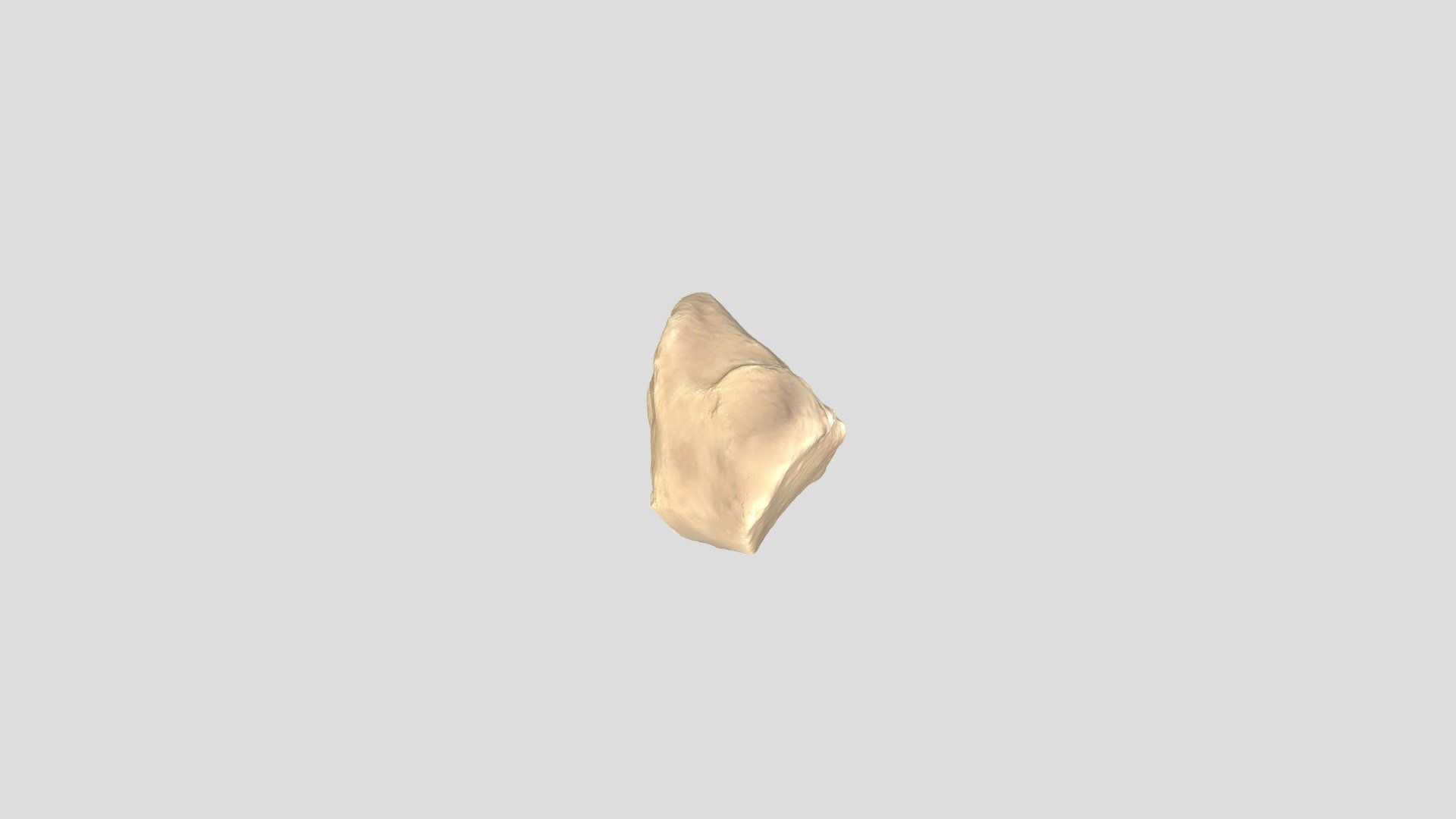 Triquetrum - 3D model by kucharm [fda6530] - Sketchfab