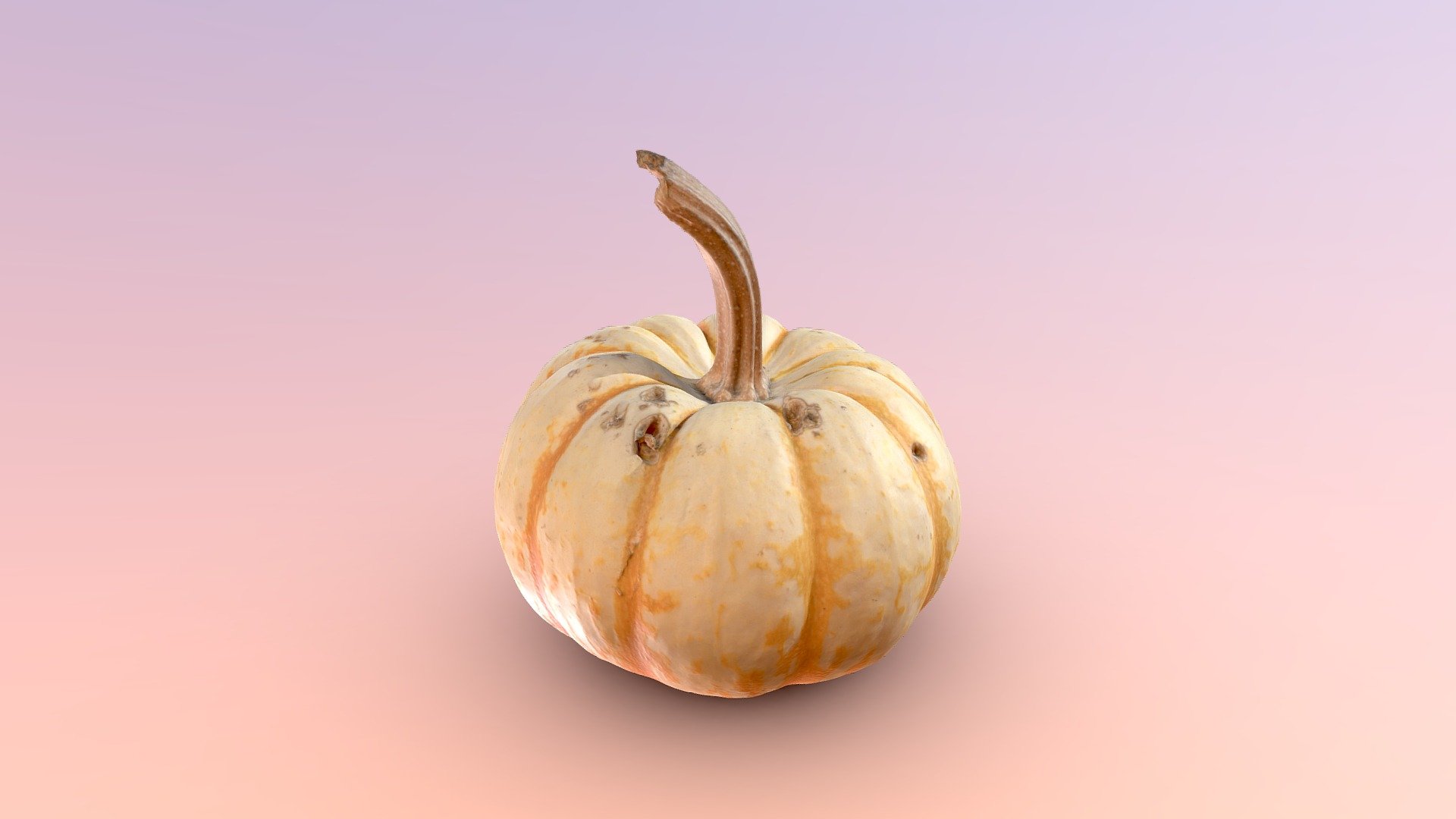 Old Pumpkin 3D Scan - Download Free 3D model by Arkify 3D (@arkify ...