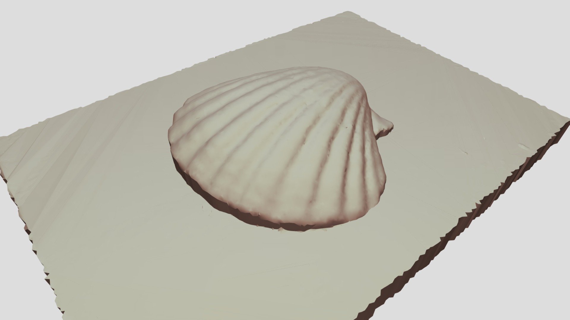 CONCHA_EDITADA2 - 3D model by SimonPena [fdae659] - Sketchfab