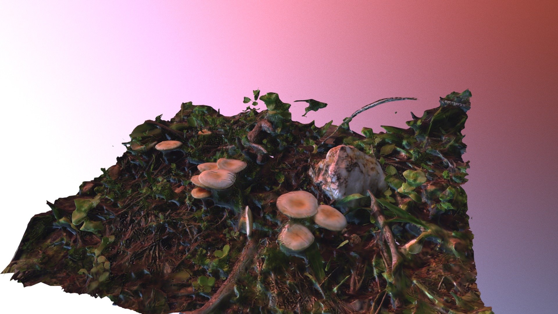Funghi - Download Free 3D model by federyuk91 [fdafd39] - Sketchfab