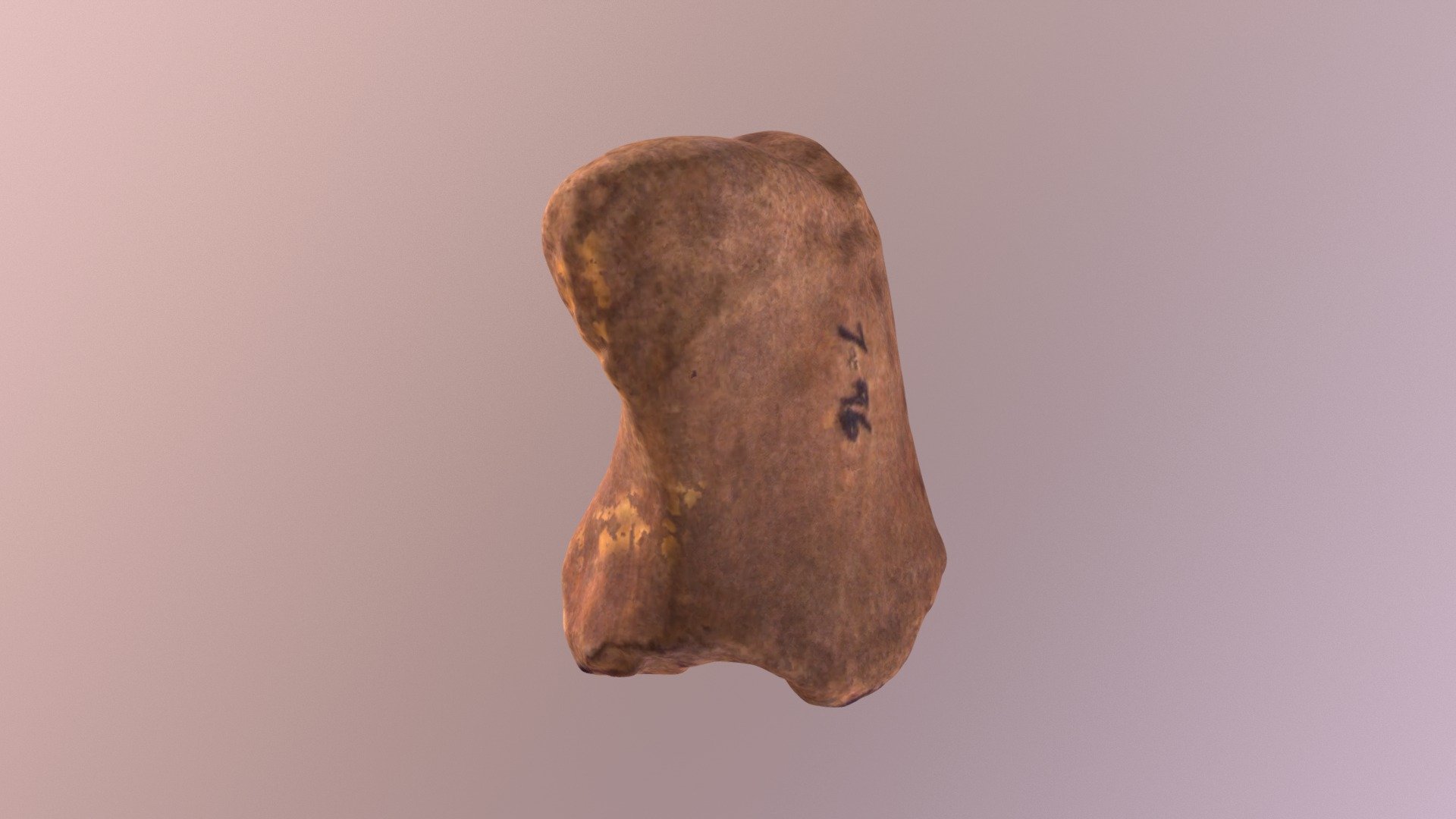 Pig Phalanx (VCU_3D_3161) - Download Free 3D model by Virtual Curation ...