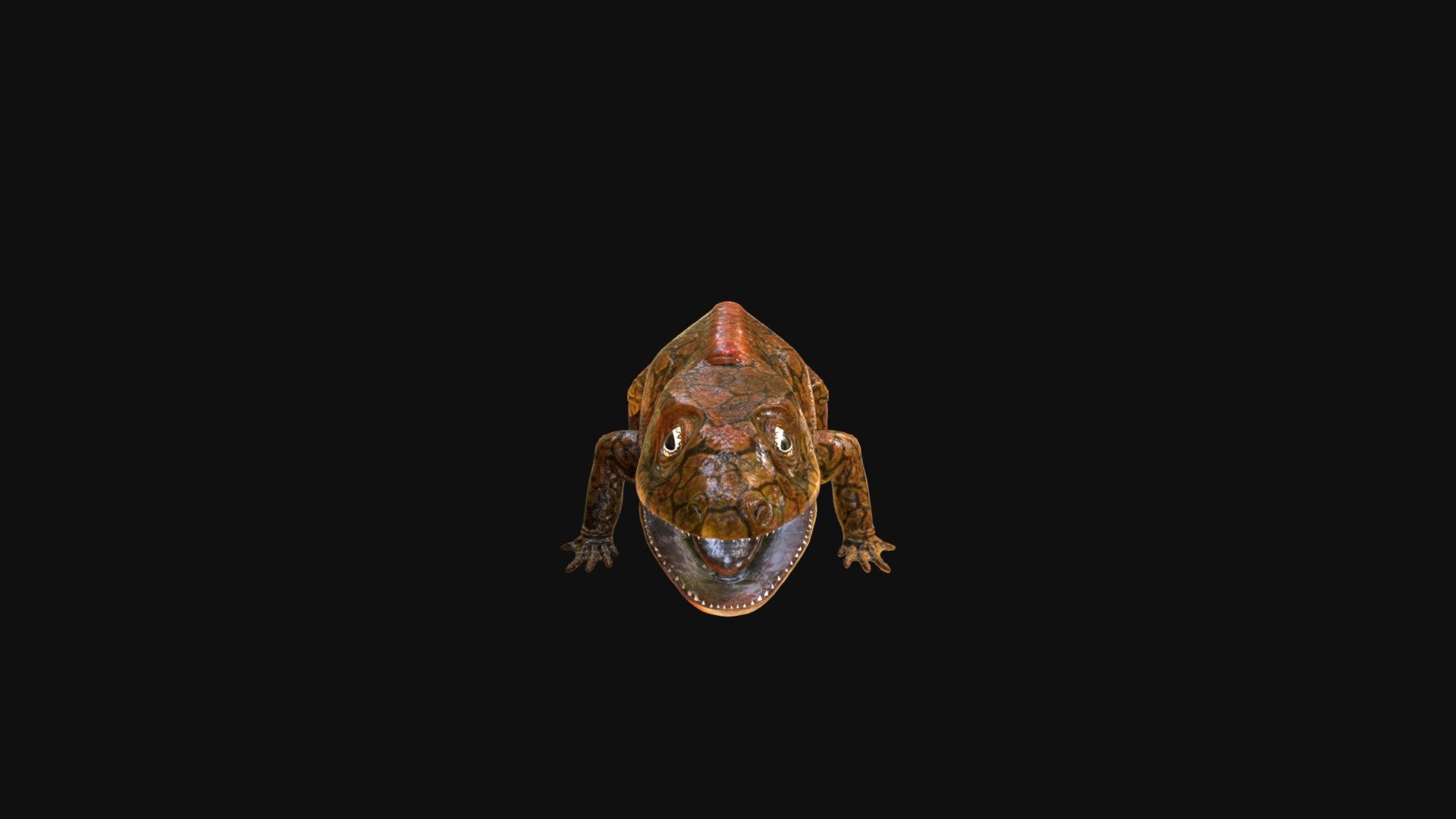 Cacops aspidephorus - 3D model by anthodon [fdb406e] - Sketchfab