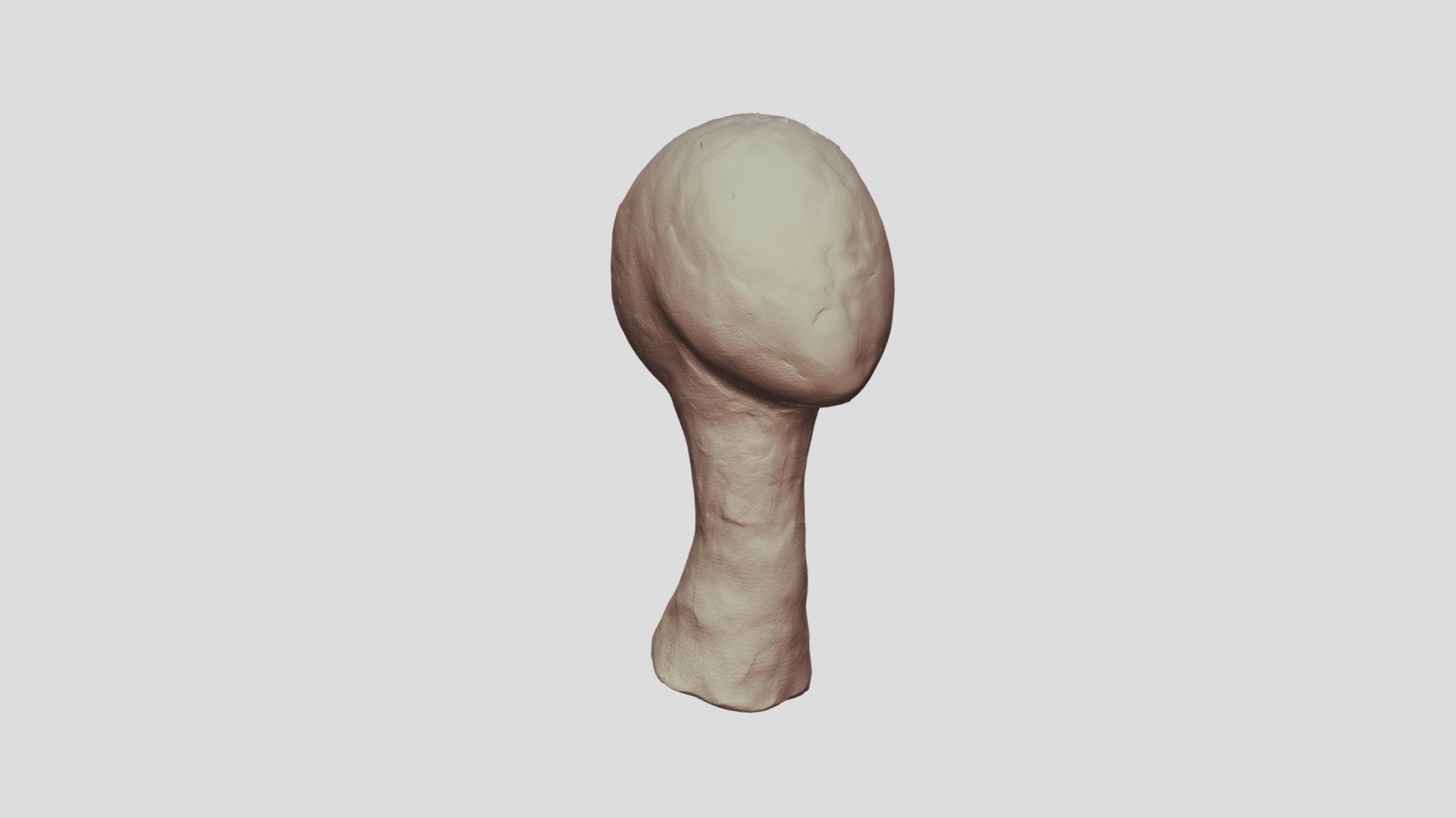 Aryel Large Head 3d Model By Capture It In 3d Capturemein3d