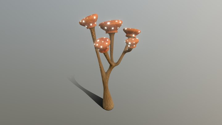 Fungi 3D models - Sketchfab