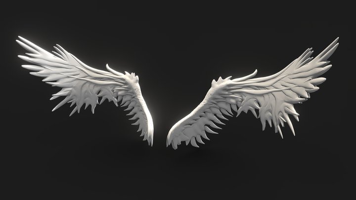 Wing 3D models - Sketchfab