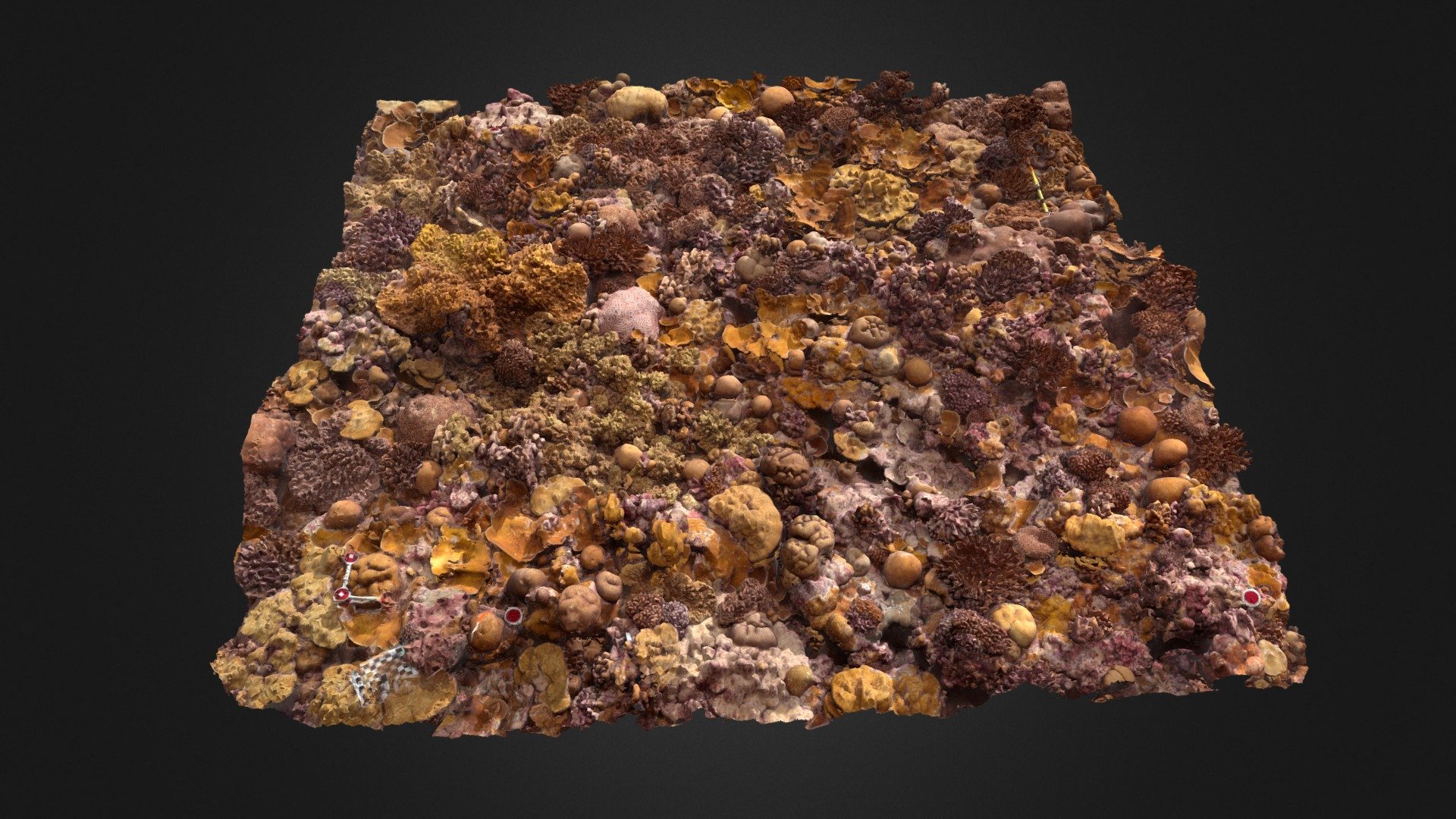 May 2015 Vaskess Bay, Kiritimati, Kiribati - 3D model by baumlab ...