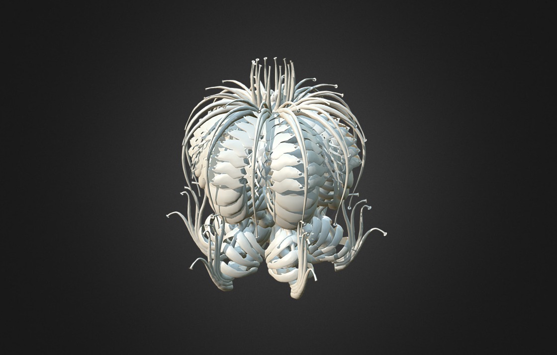 Avatar Plant - 3D model by Arseniy Korablev (@arsdraw) [fdd5350 ...